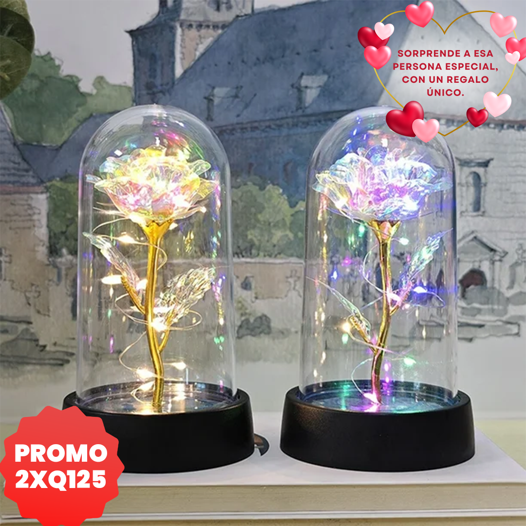 Rosas Encapsuladas E Iluminadas – TopLevel GT
